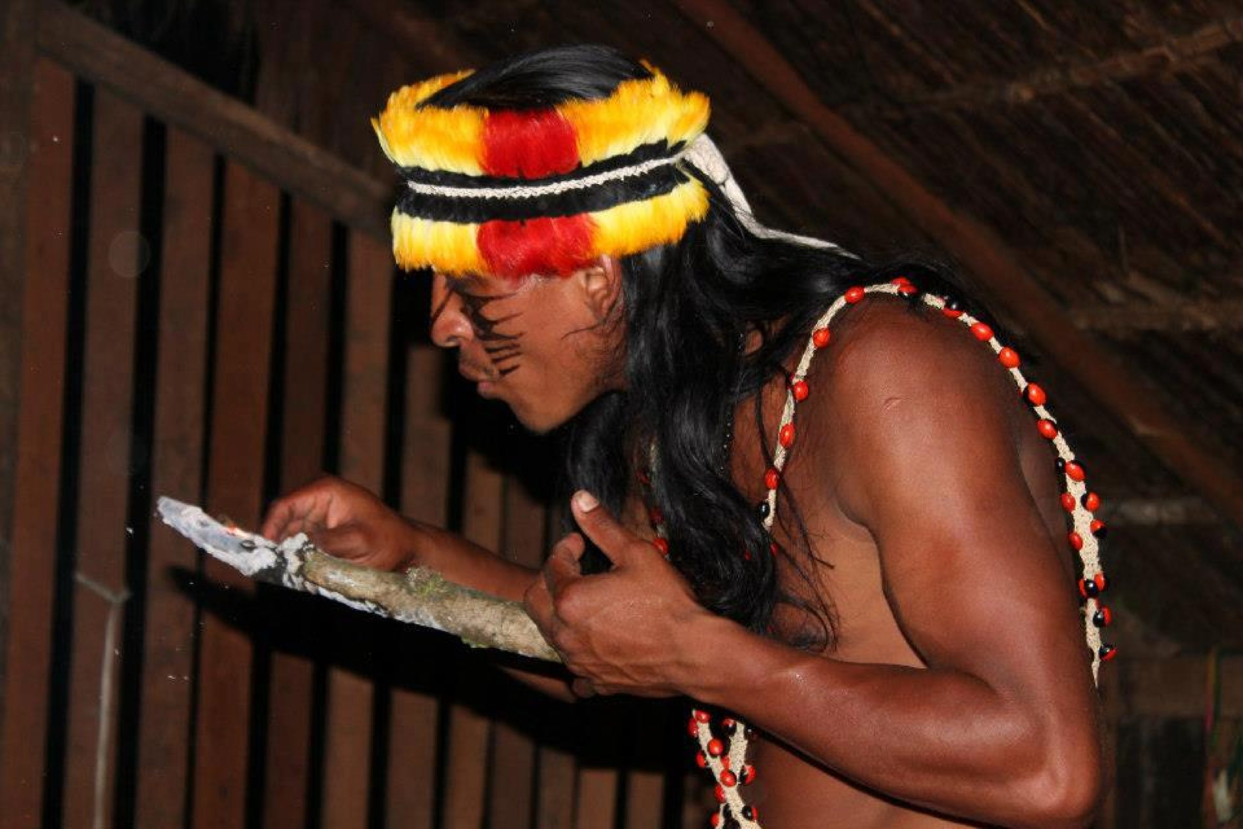 A warrior's call #8 - School of Movement Medicine®