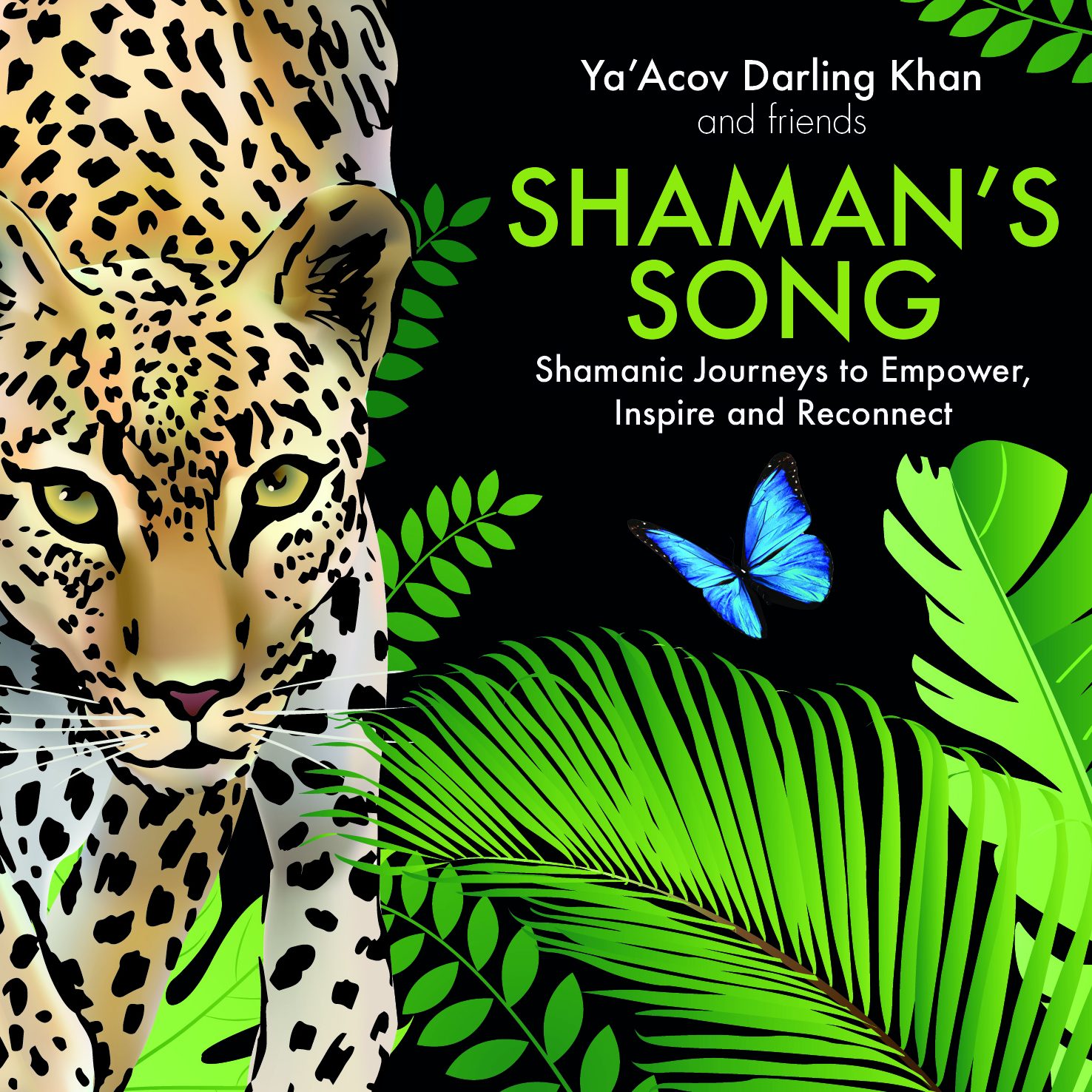 Discography - School of Movement Medicine®