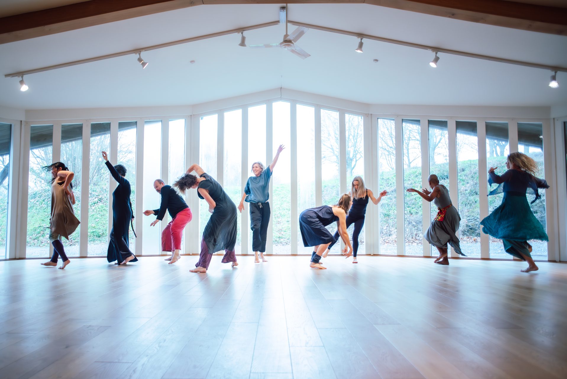 Professional Training - School of Movement Medicine®