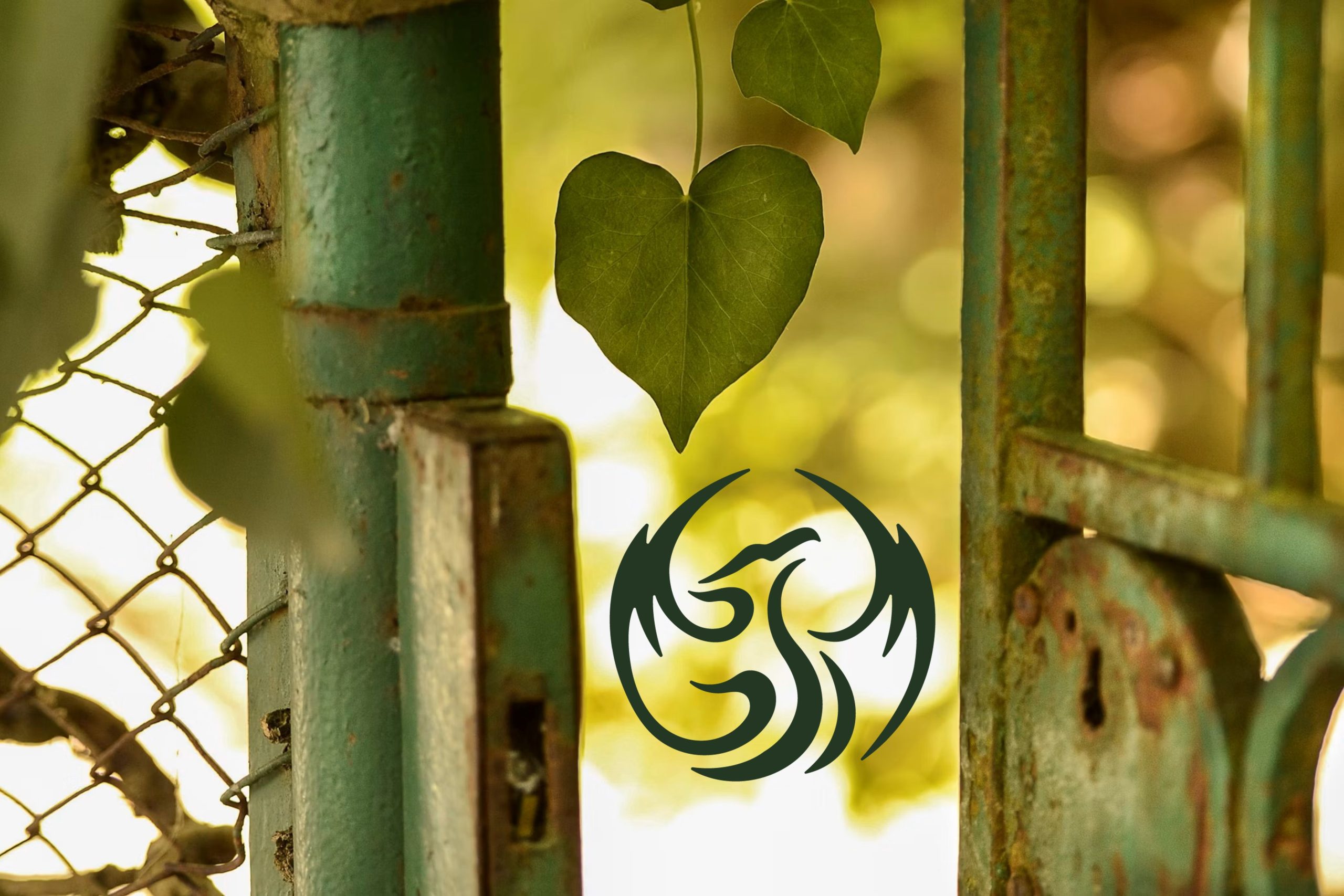 Meeting your Wise Elder - School of Movement Medicine®