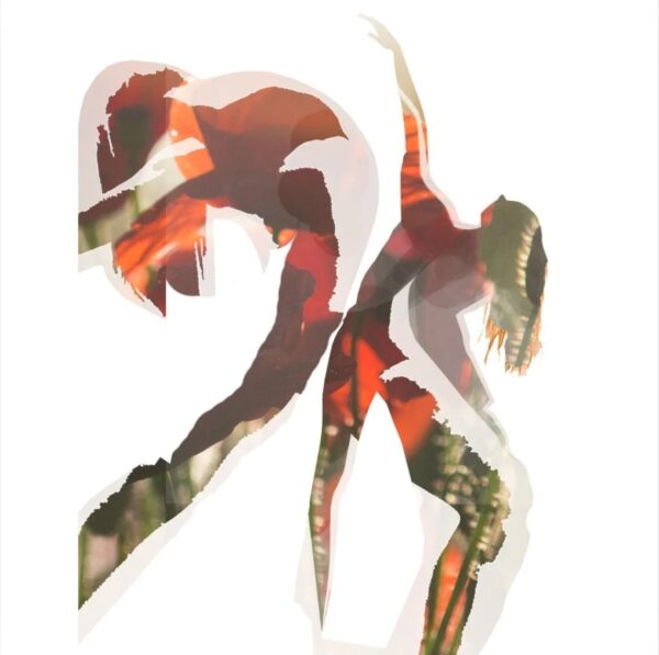 Movement in your body, momentum in your life - School of Movement Medicine®