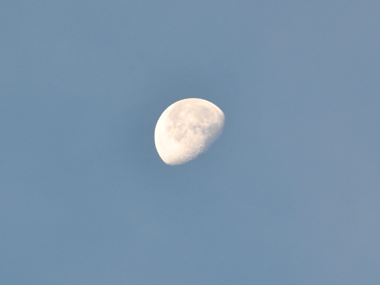 Movement Medicine Class - School of Movement Medicine®